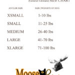 Moose Antler-Size Chart | PrixiePets