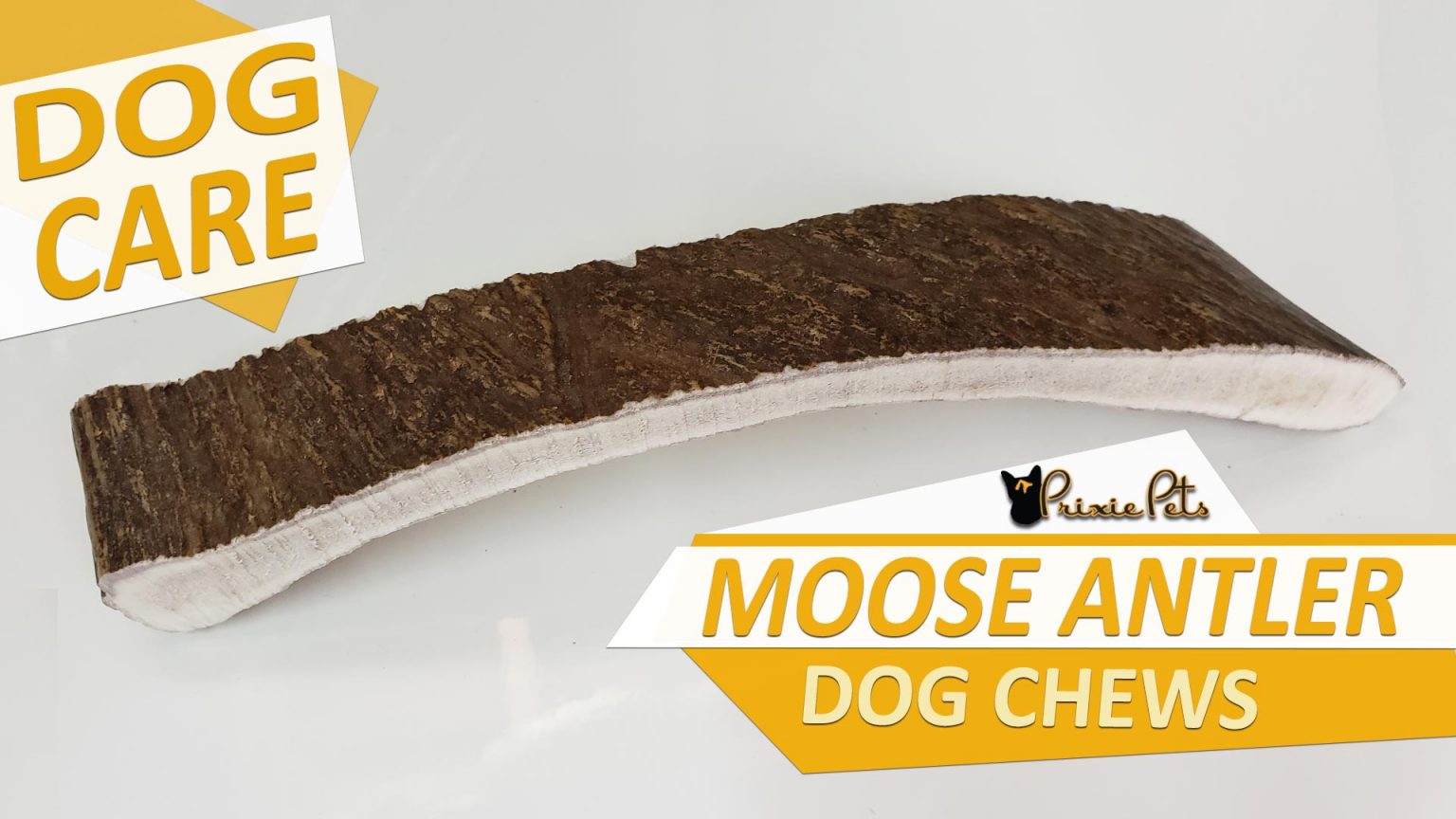 Moose Antler Dog Chews | PrixiePets